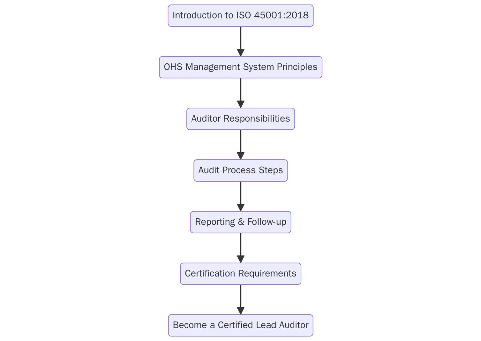 ISO 45001 Lead Auditor Training